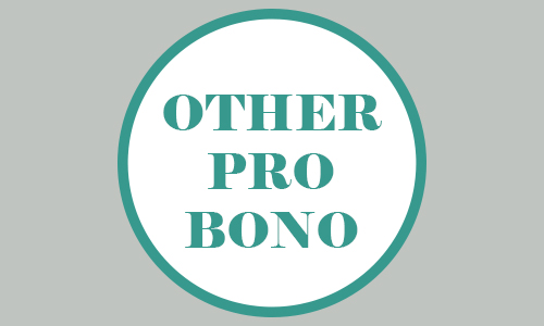 Pro Bono and Volunteer Opportunities