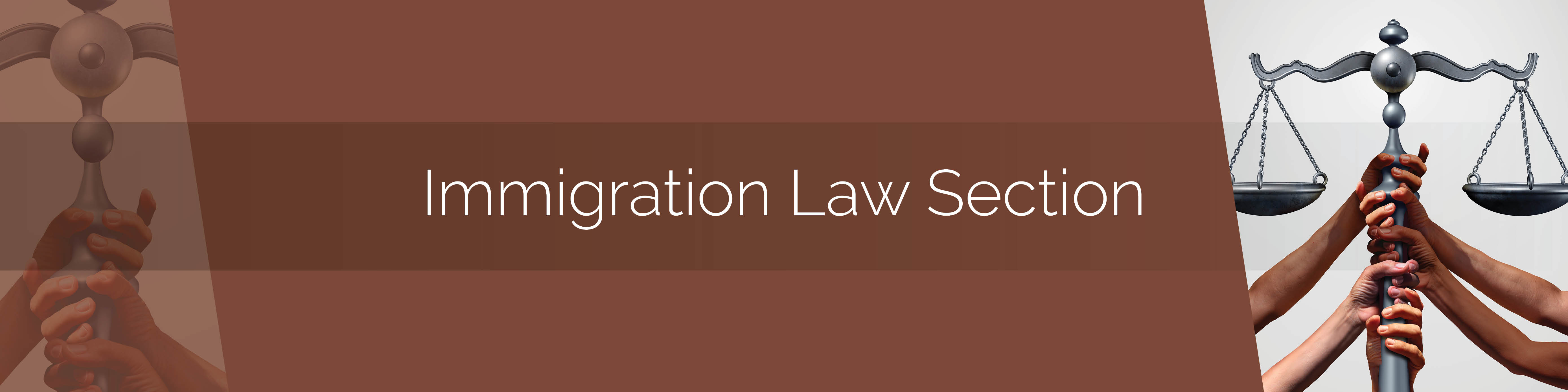 Immigration Law